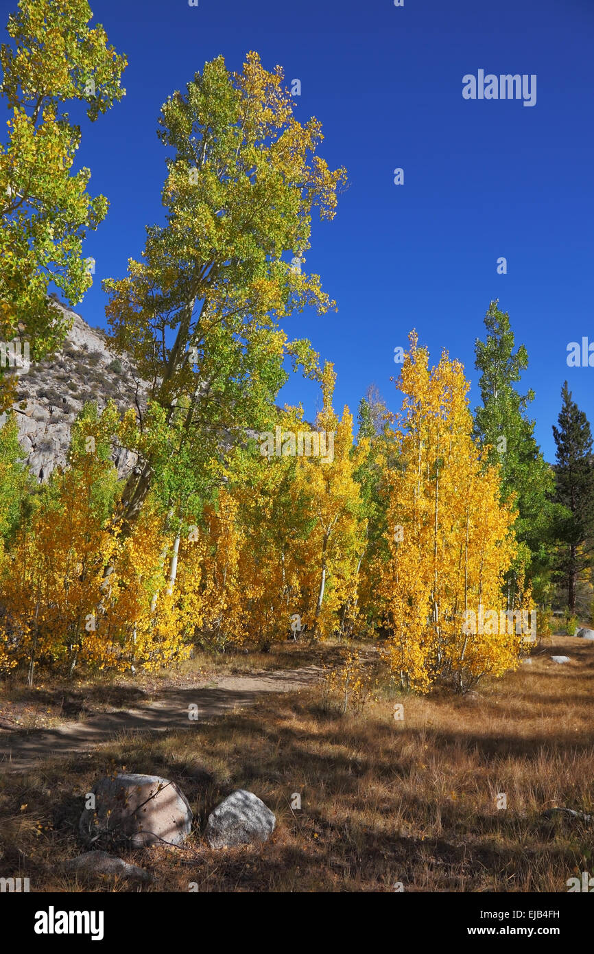 Amazingly beautiful landscape Stock Photo - Alamy