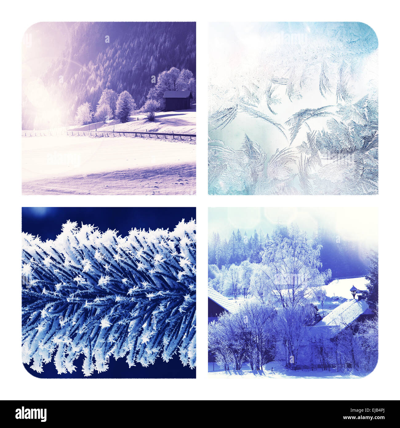 Winter park scene trees Cut Out Stock Images & Pictures - Alamy