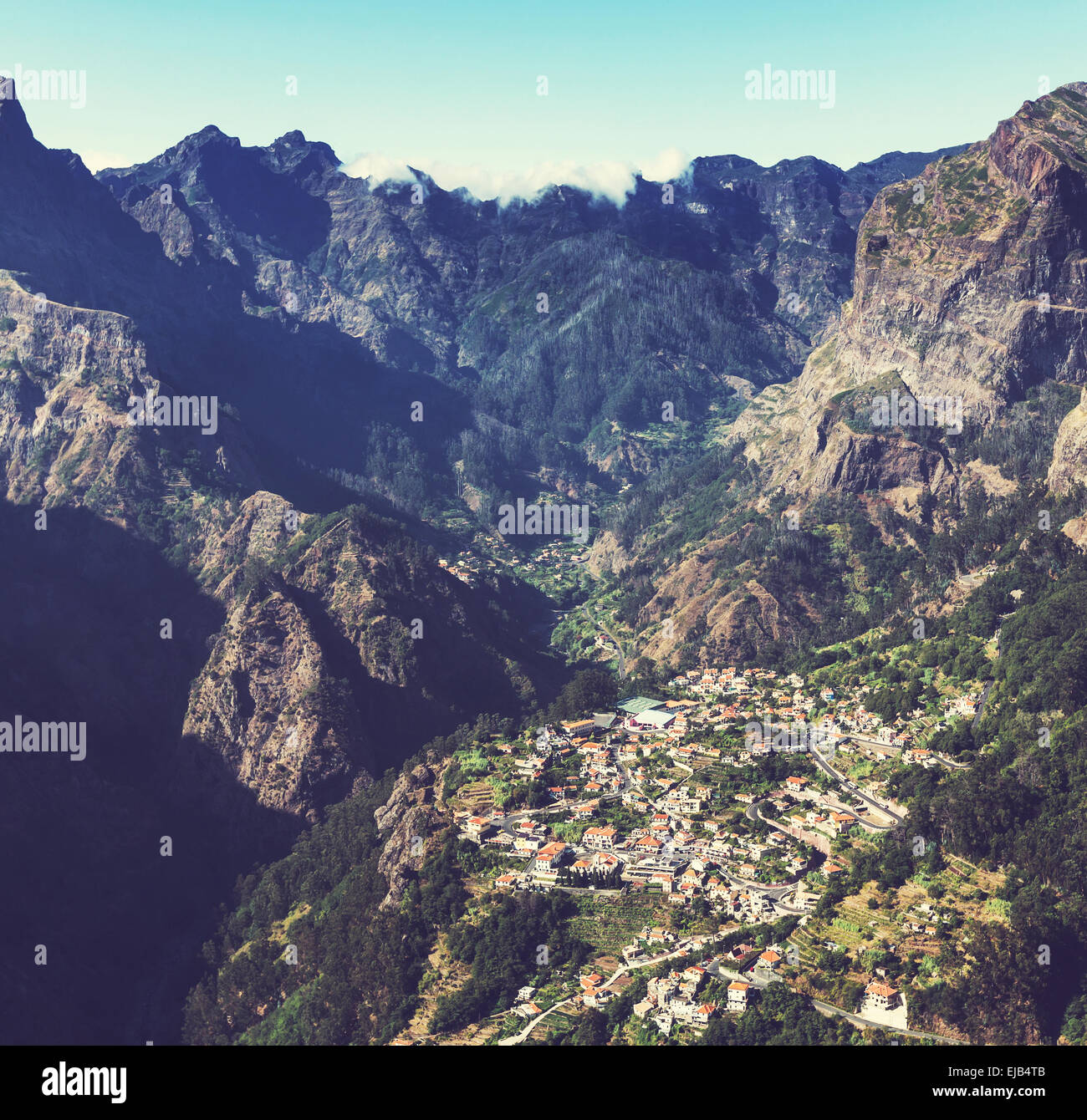 Native flower of madeira hi-res stock photography and images - Alamy