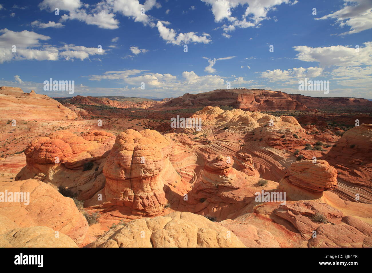 Coyote Buttes North The Wave Stock Photo - Alamy