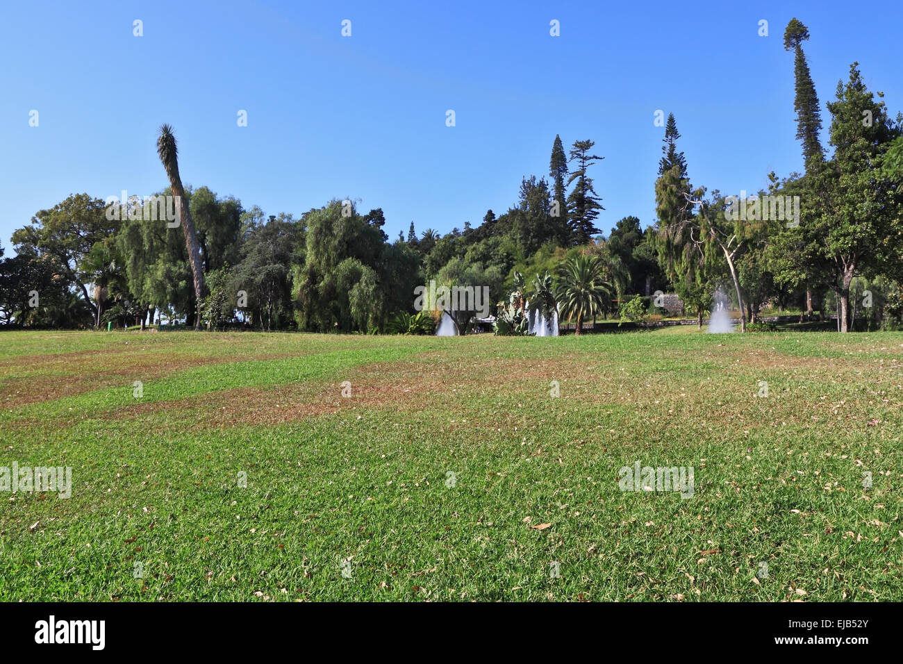 The most beautiful park hi-res stock photography and images - Alamy