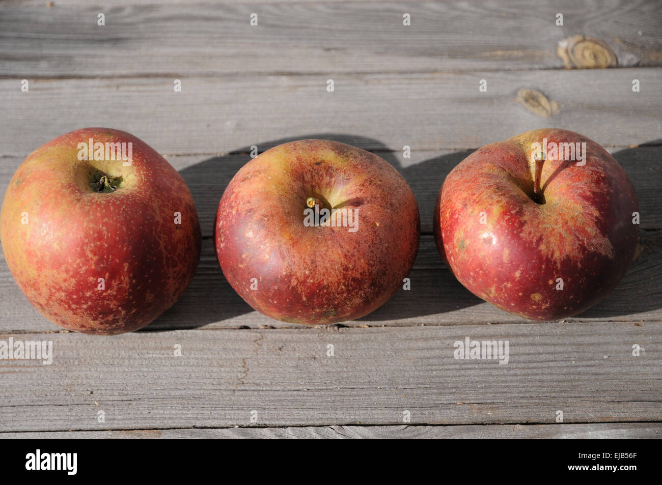 Boskoop apples hi-res stock photography and images - Alamy