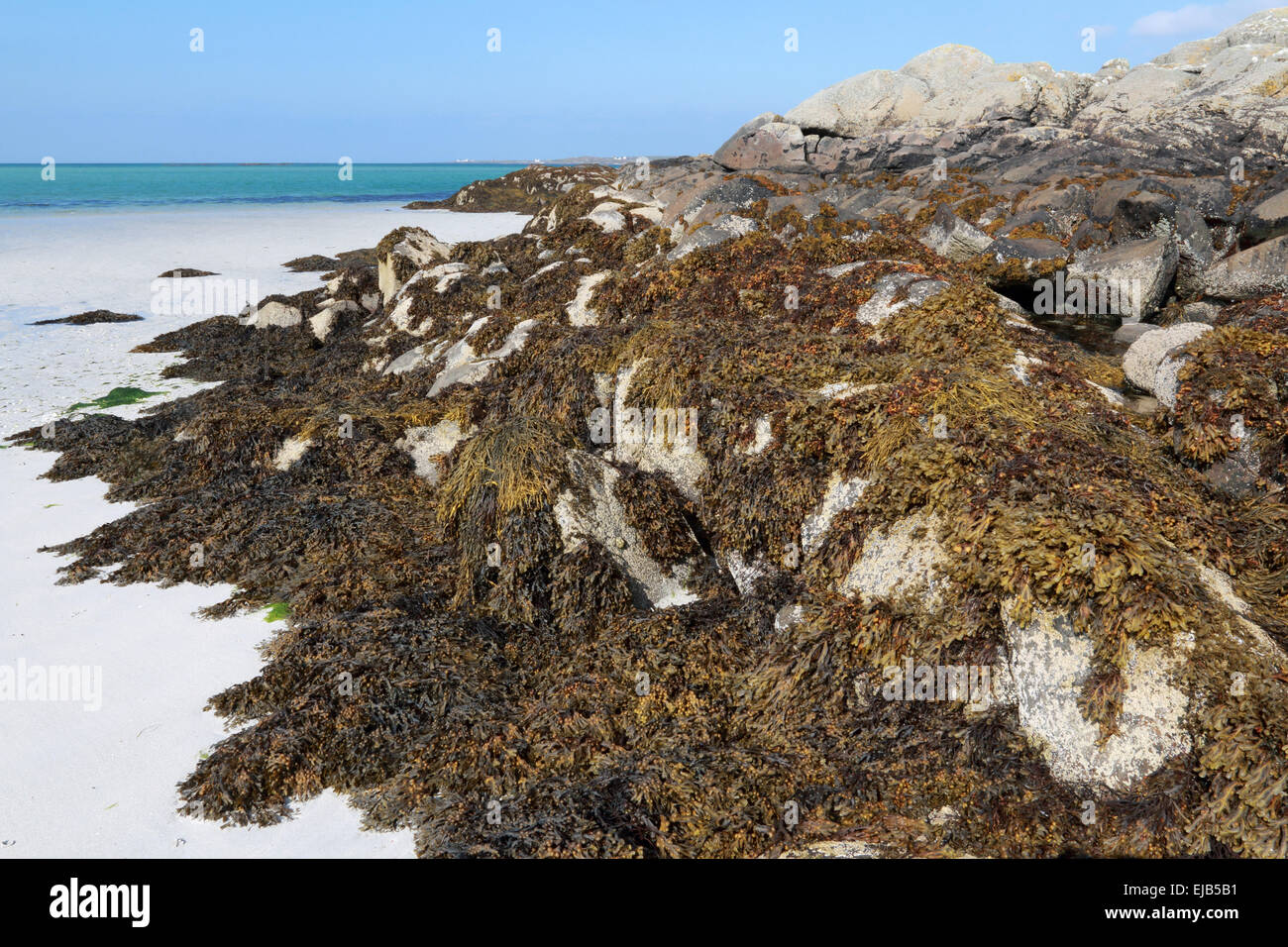 Eriskay beach hi-res stock photography and images - Alamy