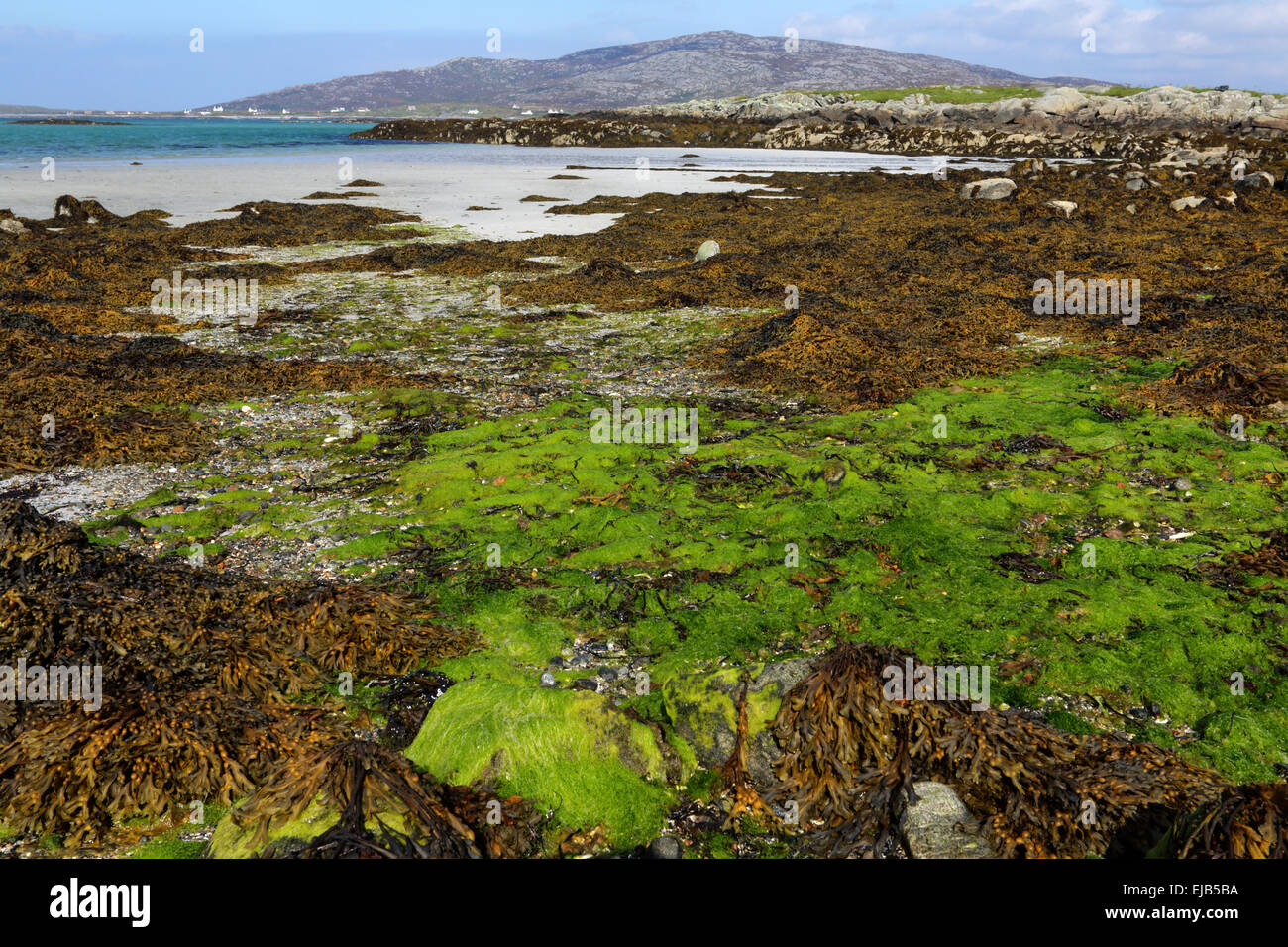 Eriskay beach hi-res stock photography and images - Alamy