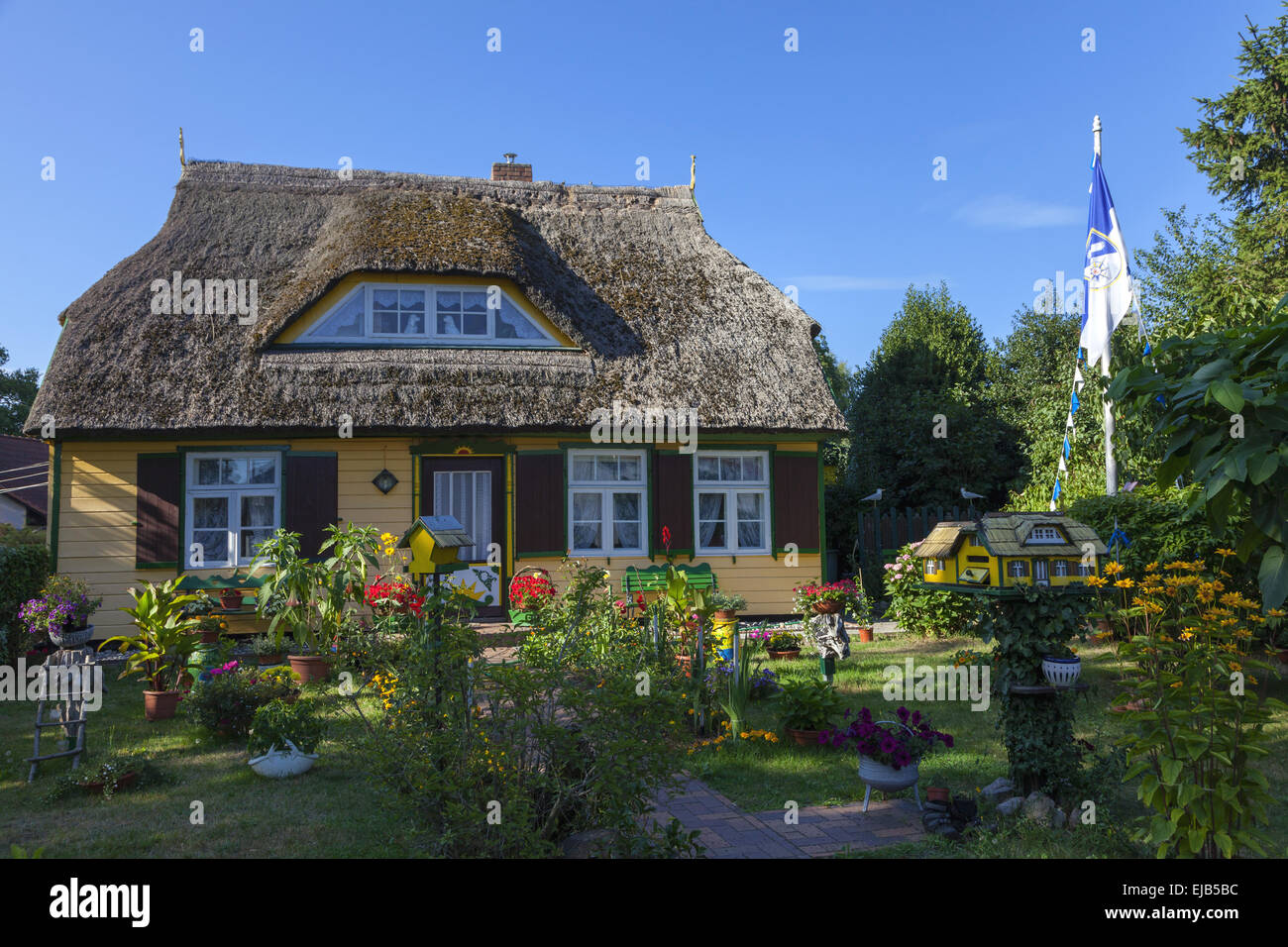 Thatched wooden house in Born Stock Photo - Alamy
