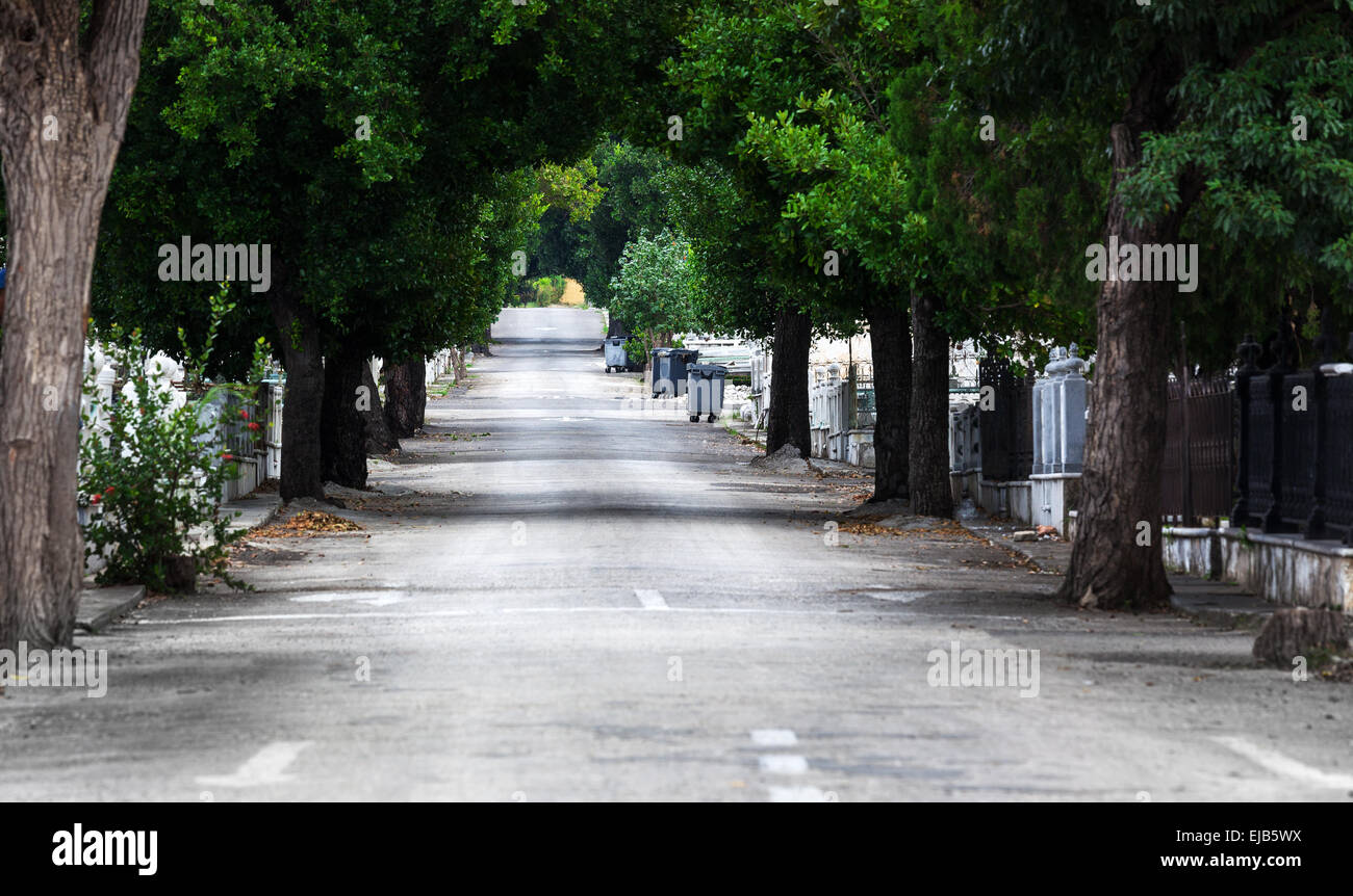 the road to cemetery Stock Photo - Alamy