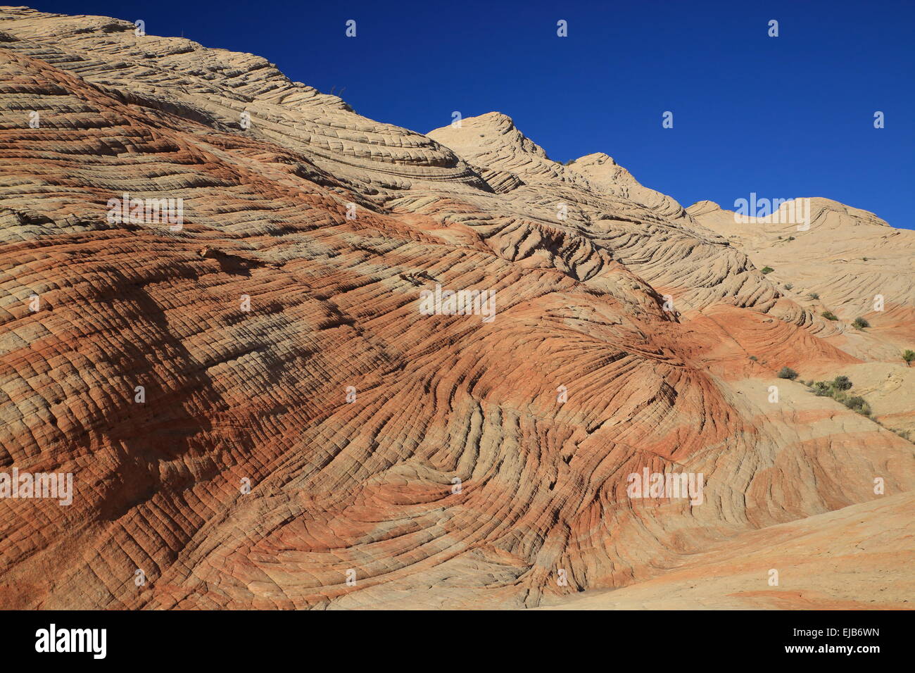Yant Flat - Candy Cliffs Utah Stock Photo - Alamy