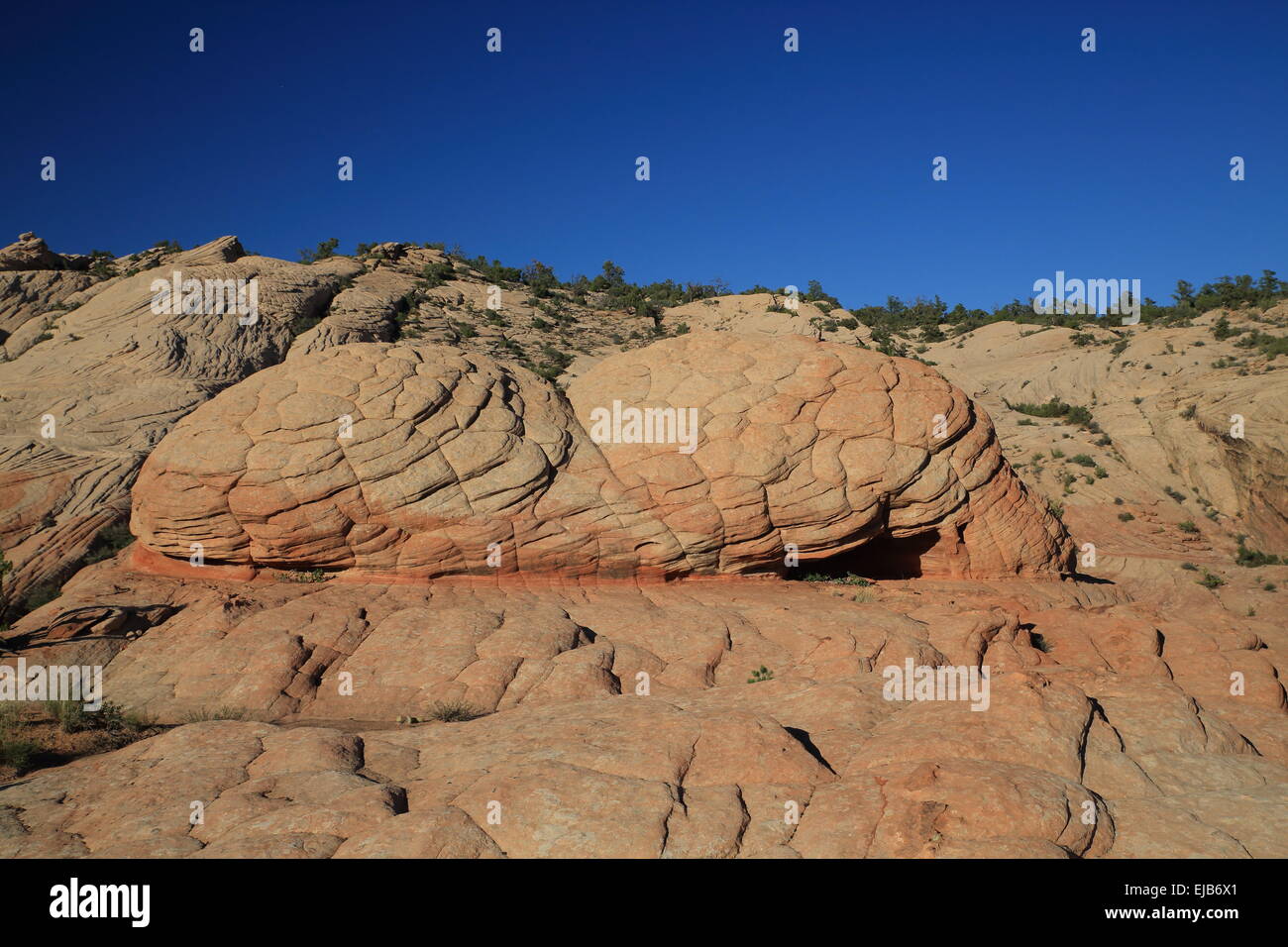 Yant Flat - Candy Cliffs Utah Stock Photo - Alamy
