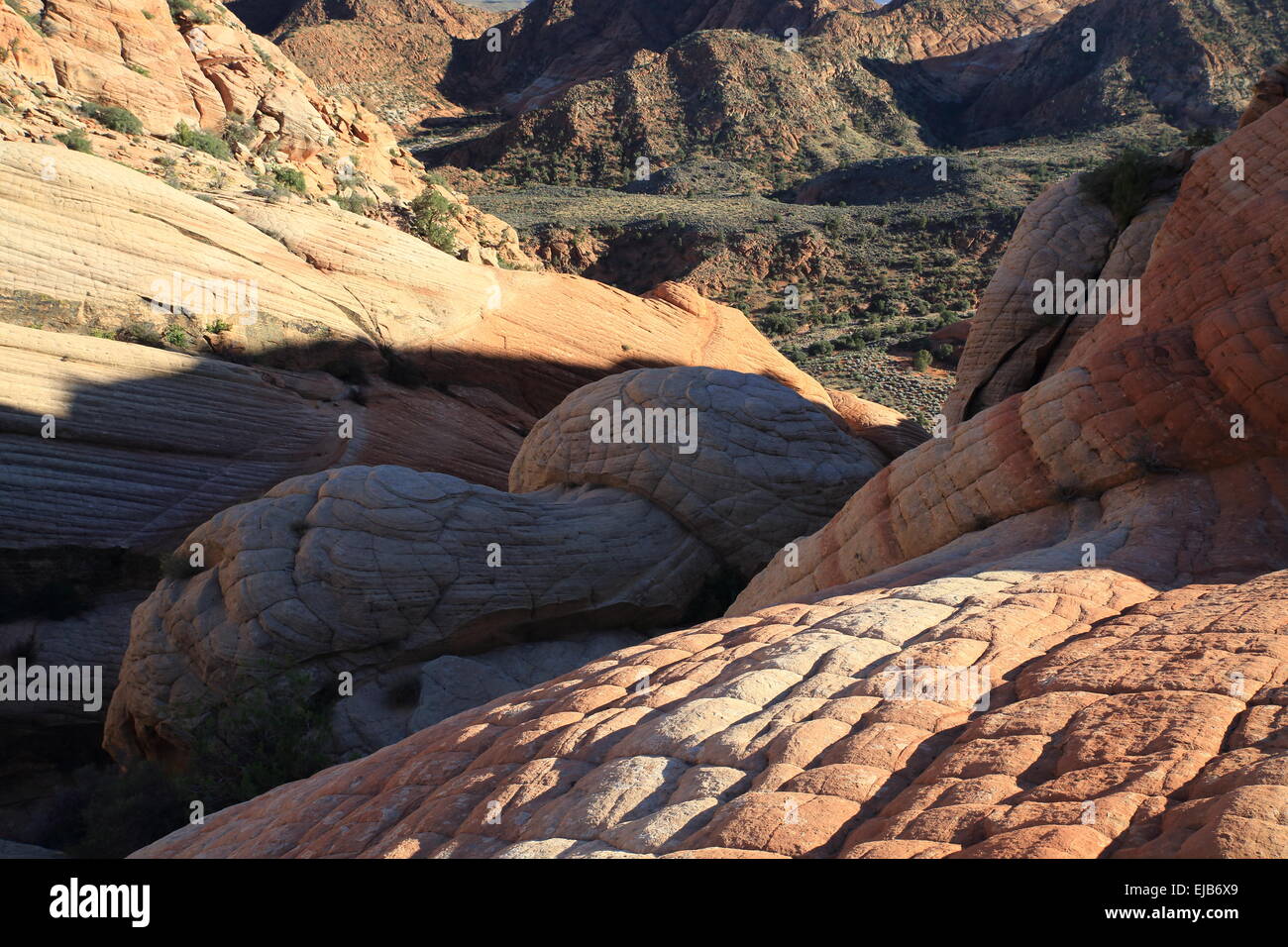 Yant Flat - Candy Cliffs Utah Stock Photo - Alamy