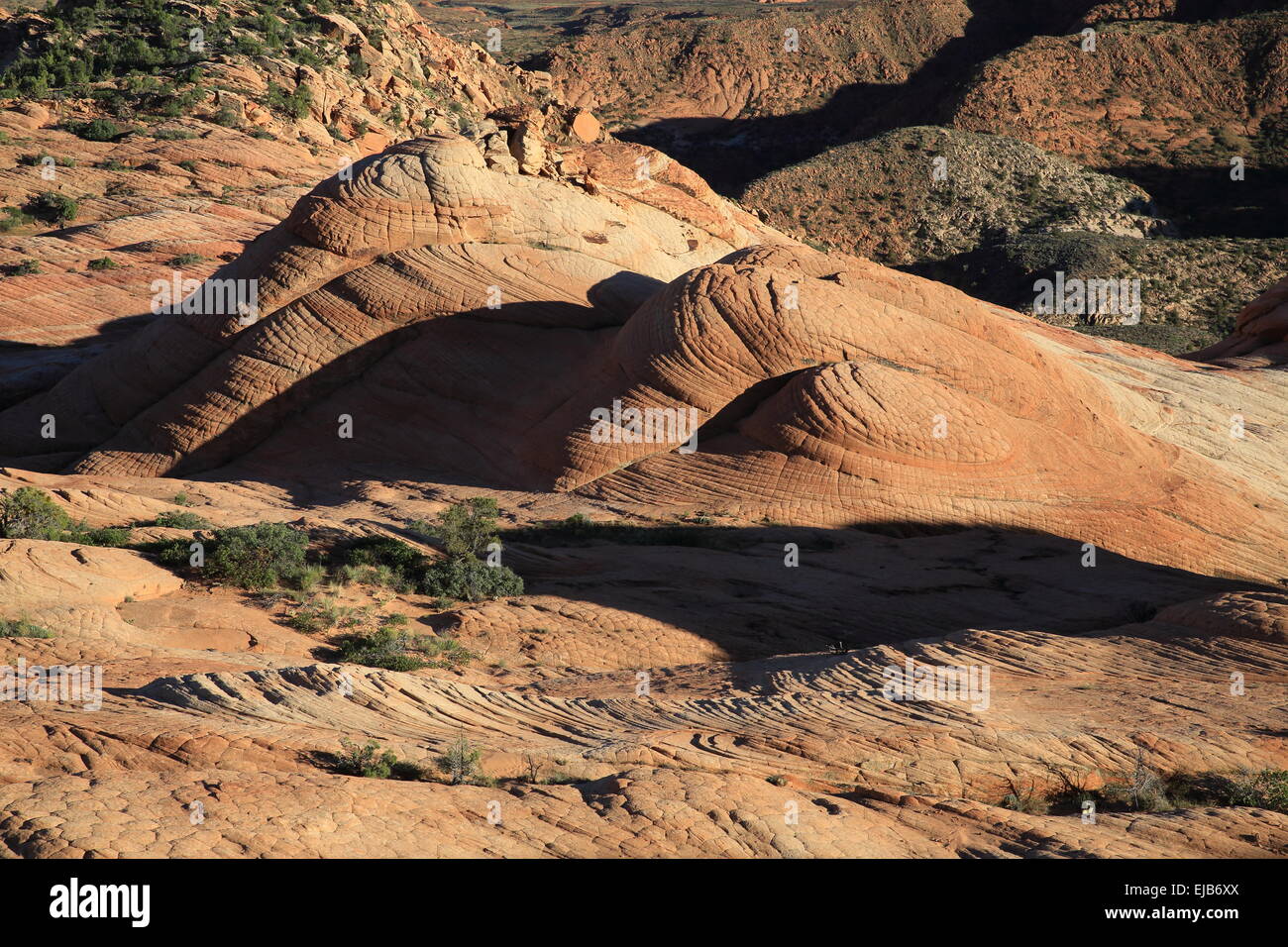 Yant Flat - Candy Cliffs Utah Stock Photo - Alamy