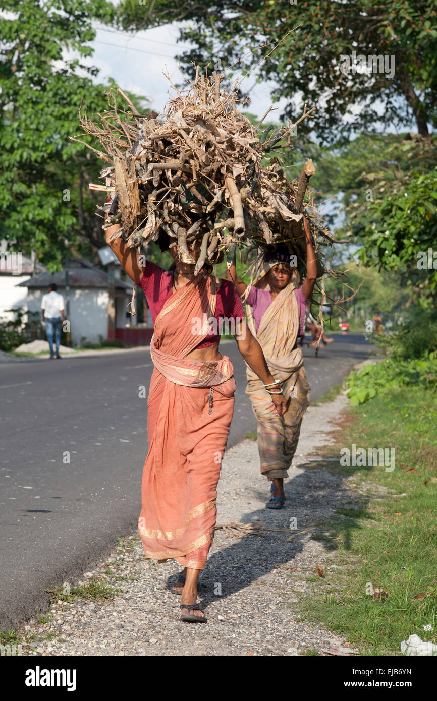 Indian Women Labour High Resolution Stock Photography and Images - Alamy