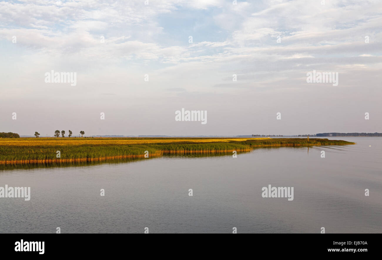 Nationalpark vorpommersche bodden landschaft hi-res stock photography ...