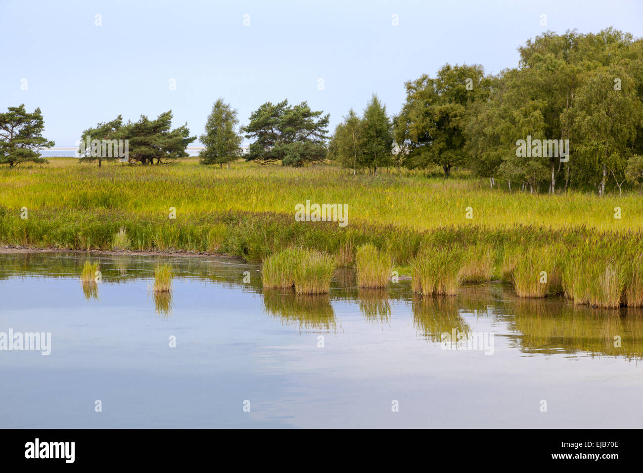 Boddenlandscha hi-res stock photography and images - Alamy