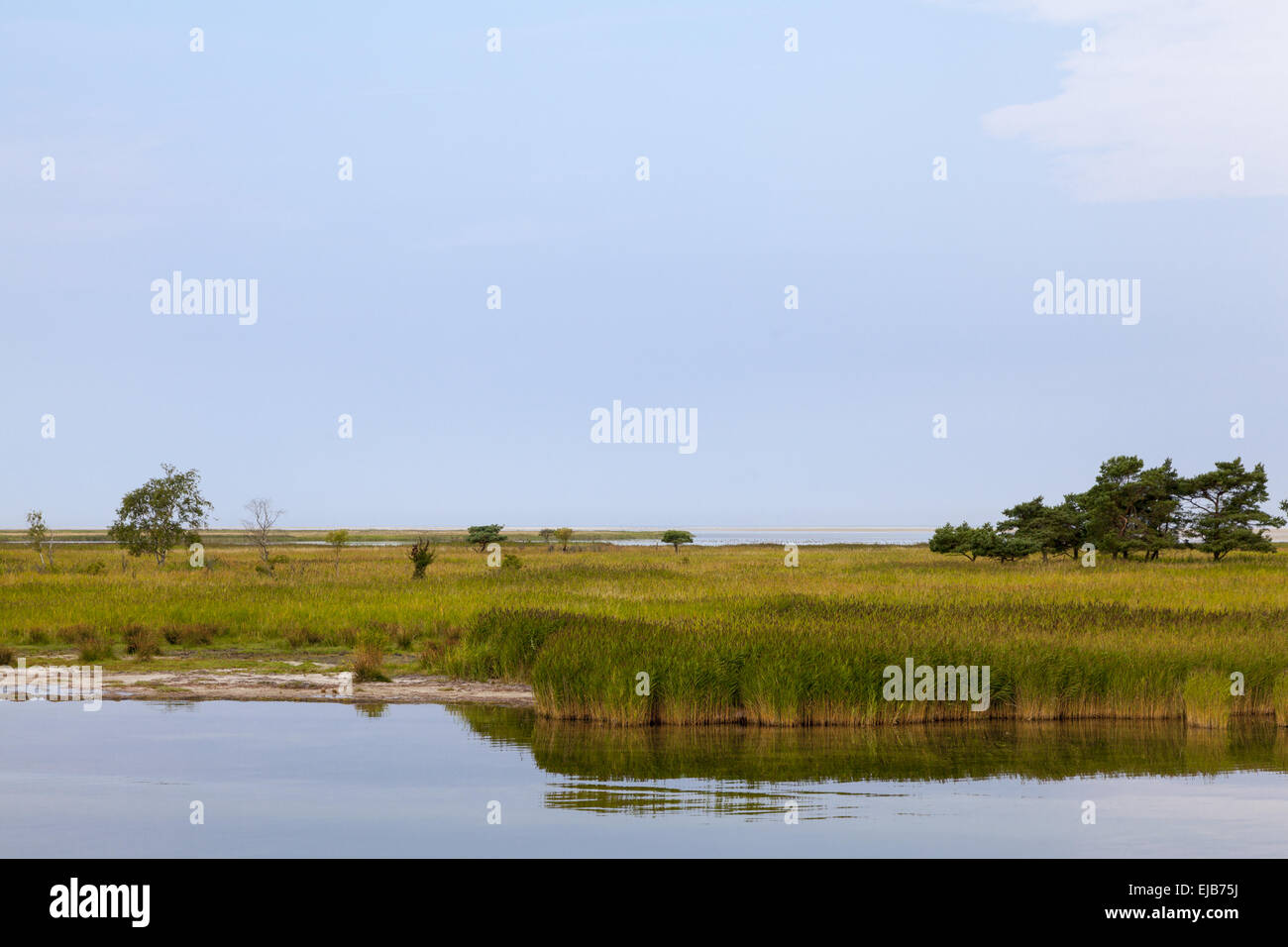 Boddenlandscha hi-res stock photography and images - Alamy