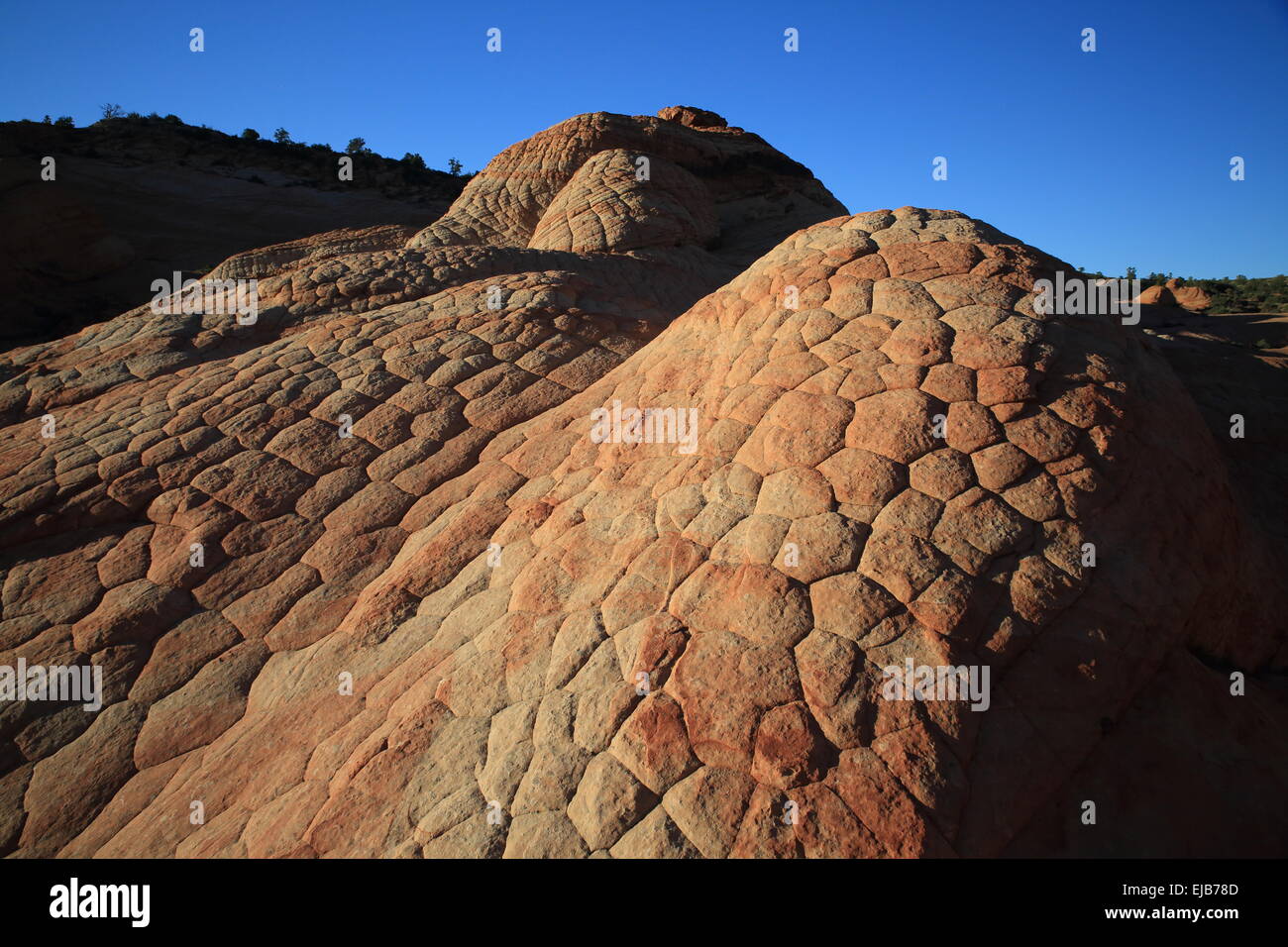 Yant Flat - Candy Cliffs Utah Stock Photo - Alamy