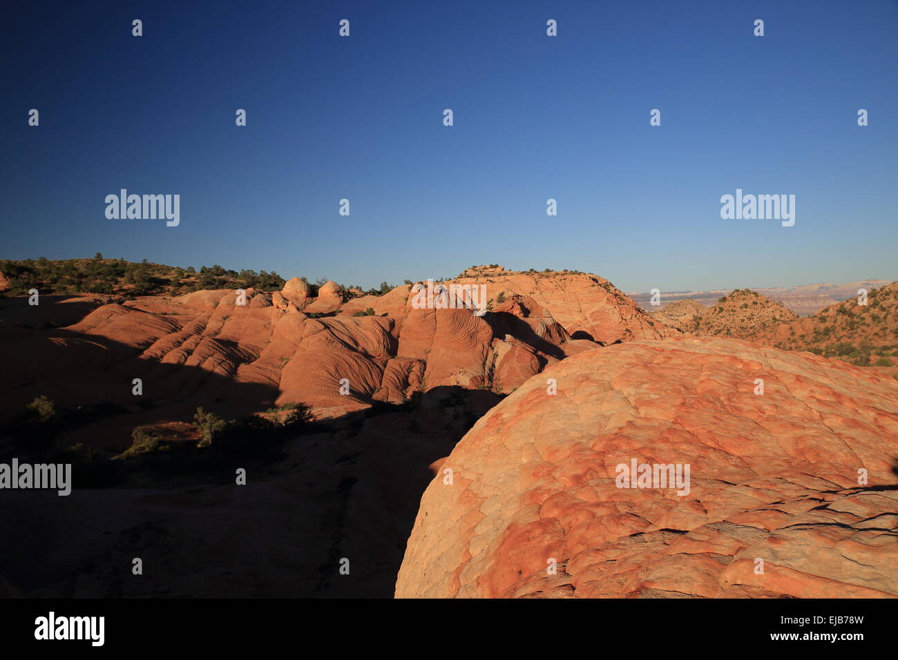 Yant Flat - Candy Cliffs Utah Stock Photo - Alamy