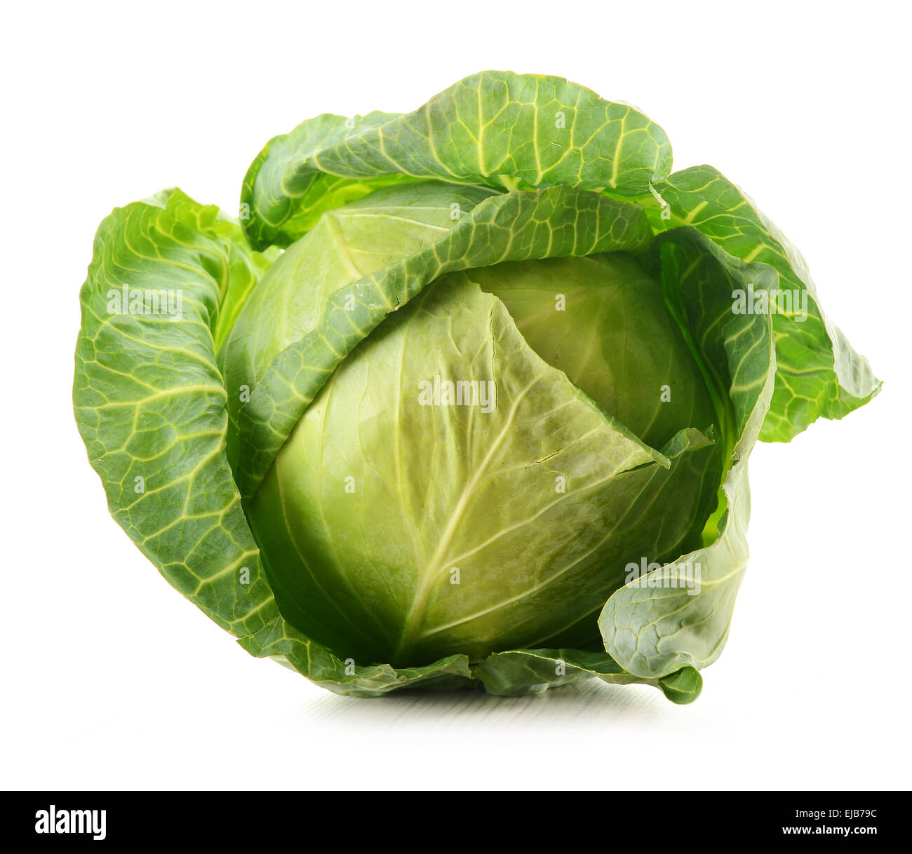 Cabbage isolated on white Stock Photo - Alamy
