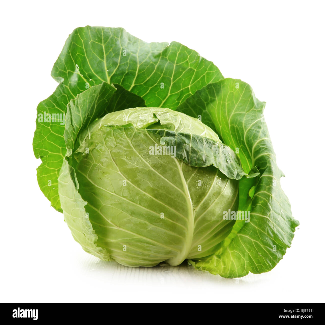 Cabbage isolated on white Stock Photo - Alamy
