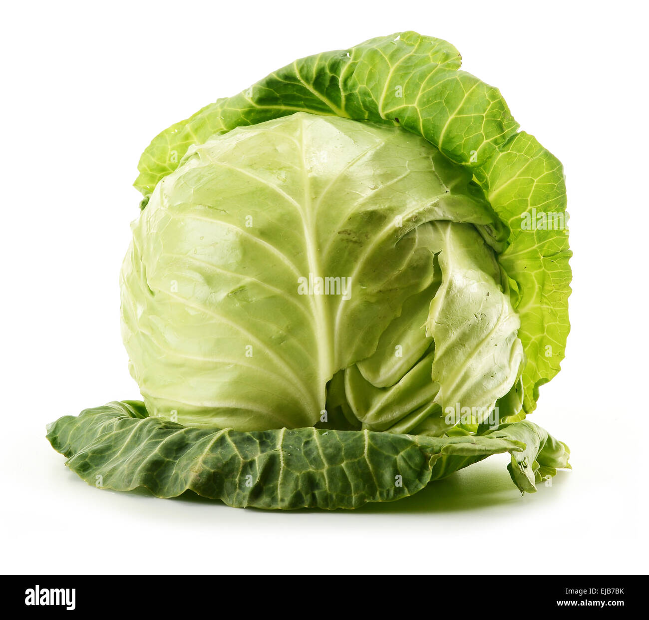 Cabbage isolated on white Stock Photo - Alamy
