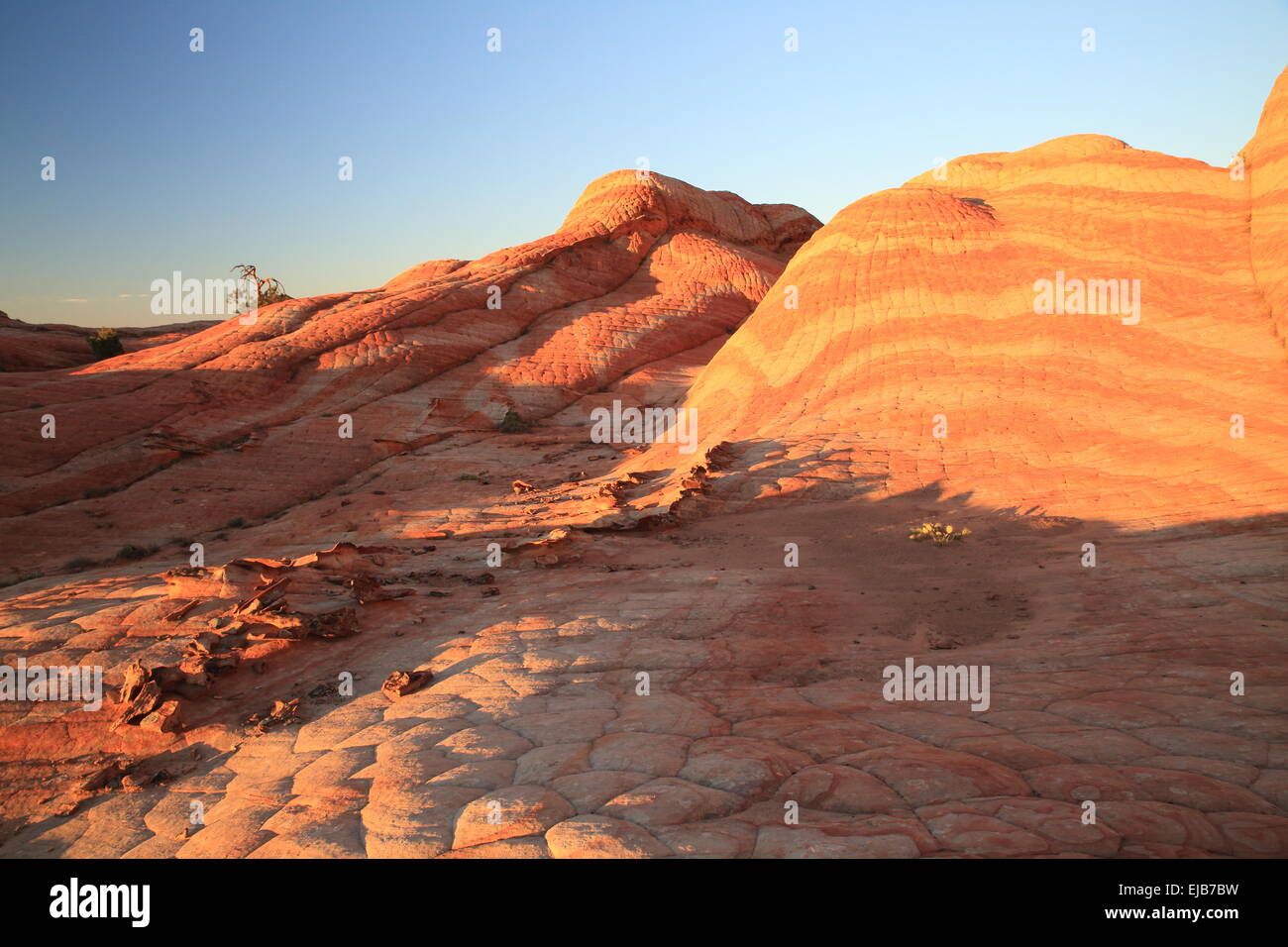 Yant Flat - Candy Cliffs Utah Stock Photo - Alamy