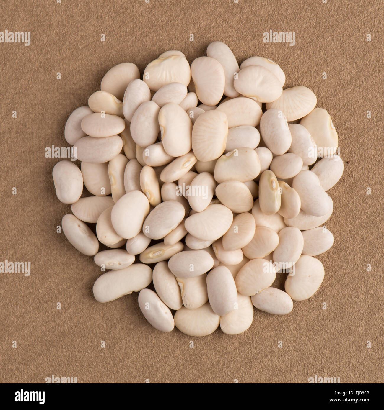 Top view of circle of white beans against brown vinyl background Stock ...