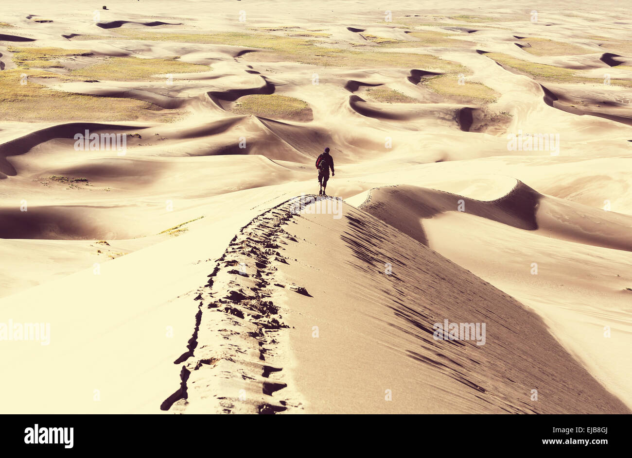 Hike in desert Stock Photo - Alamy