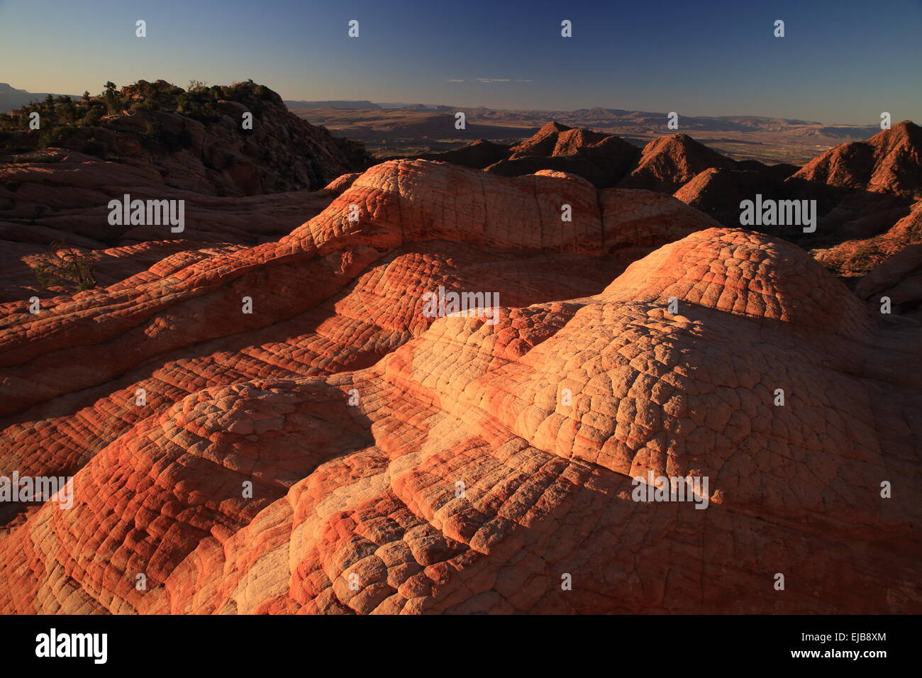 Yant Flat - Candy Cliffs Utah Stock Photo - Alamy