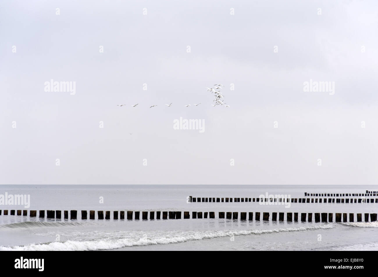 Strand von Ahrenshoop Stock Photo - Alamy