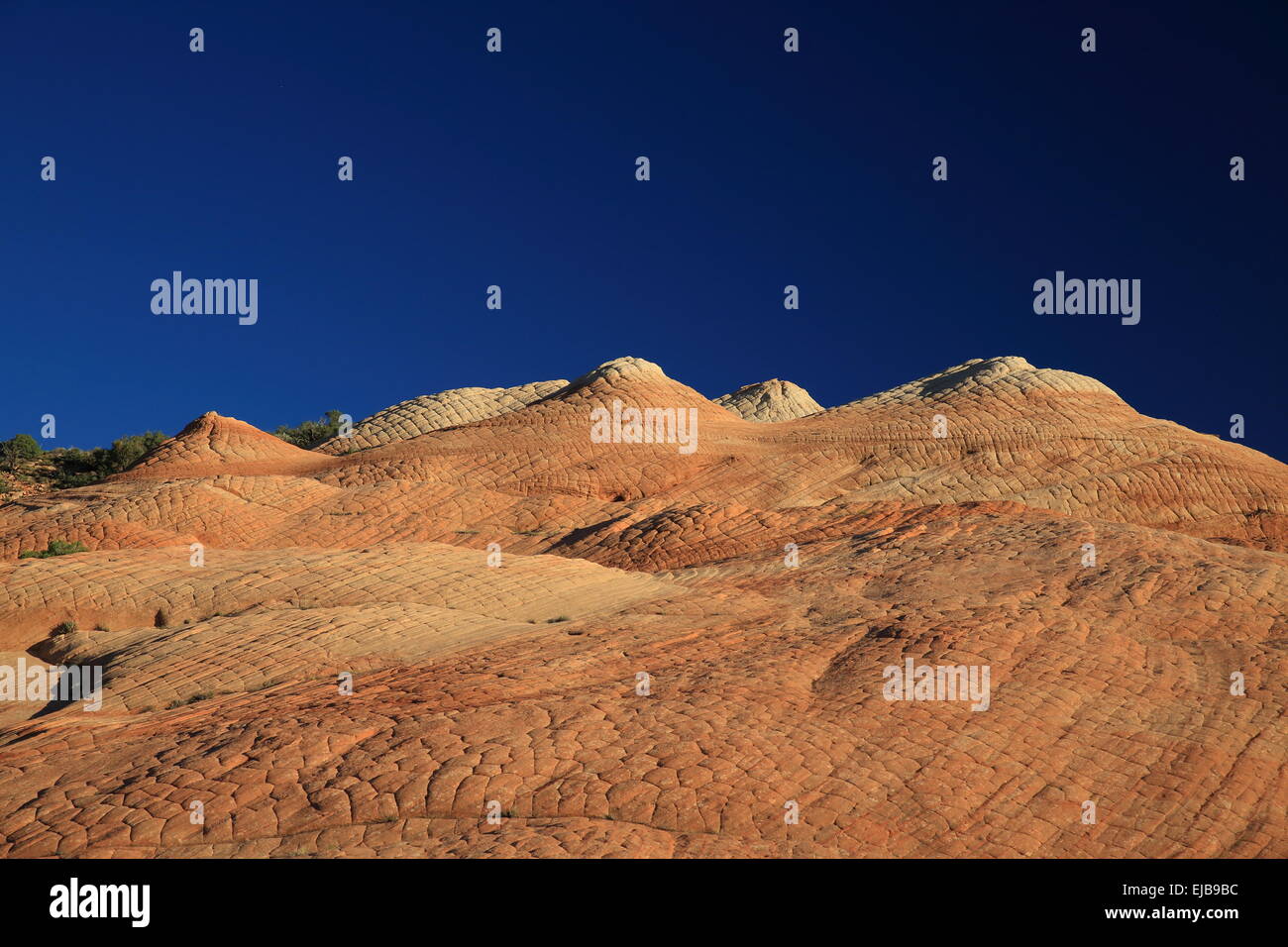 Yant Flat - Candy Cliffs Utah Stock Photo - Alamy