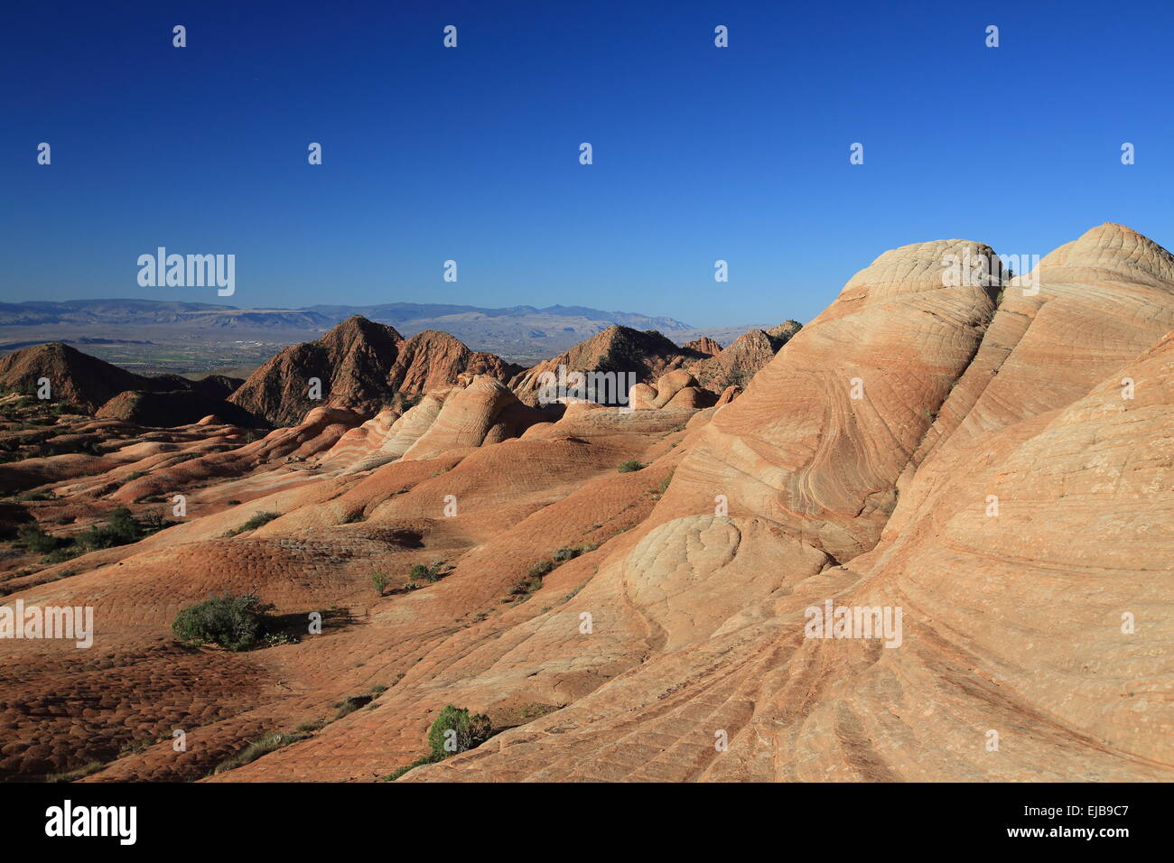 Yant Flat - Candy Cliffs Utah Stock Photo - Alamy