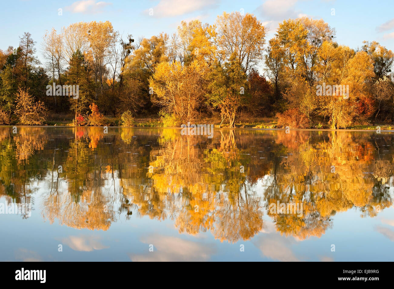 Fall, forest, lake Stock Photo - Alamy