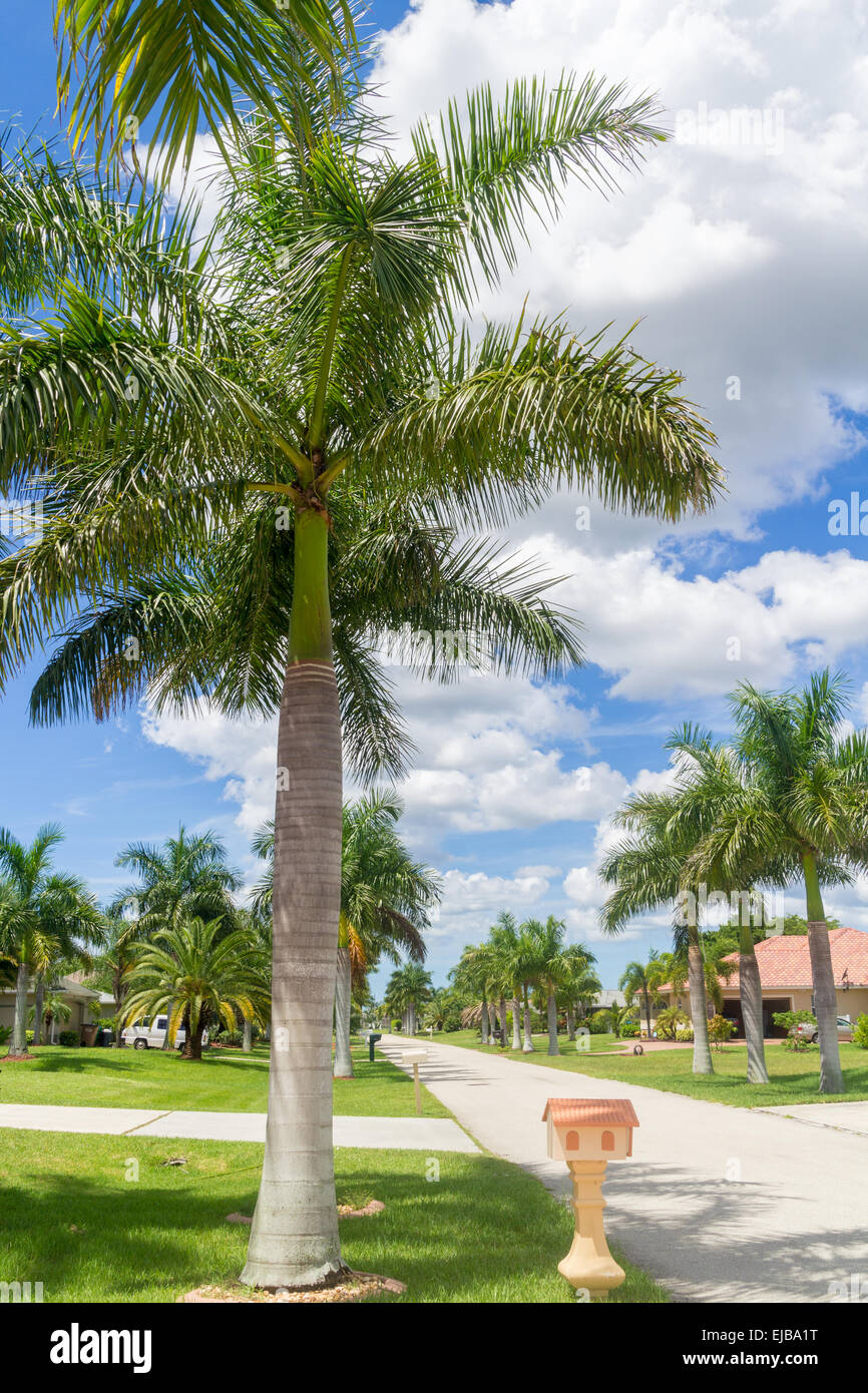 Sunny florida hi-res stock photography and images - Alamy