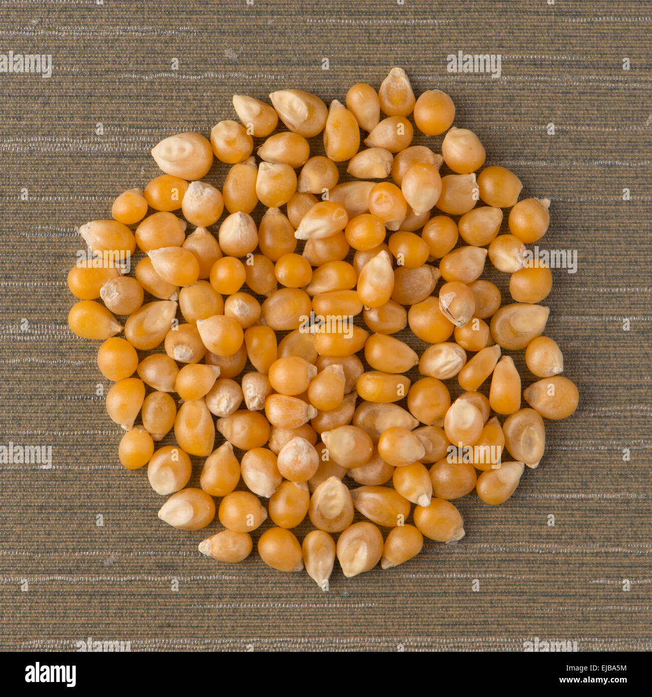 Top view of circle of corn against green vinyl background Stock Photo ...