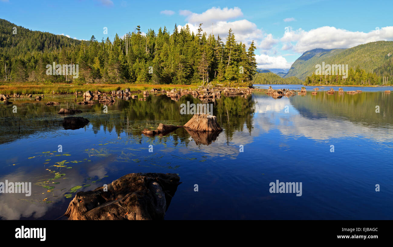 Canadian river landscape Stock Photo - Alamy