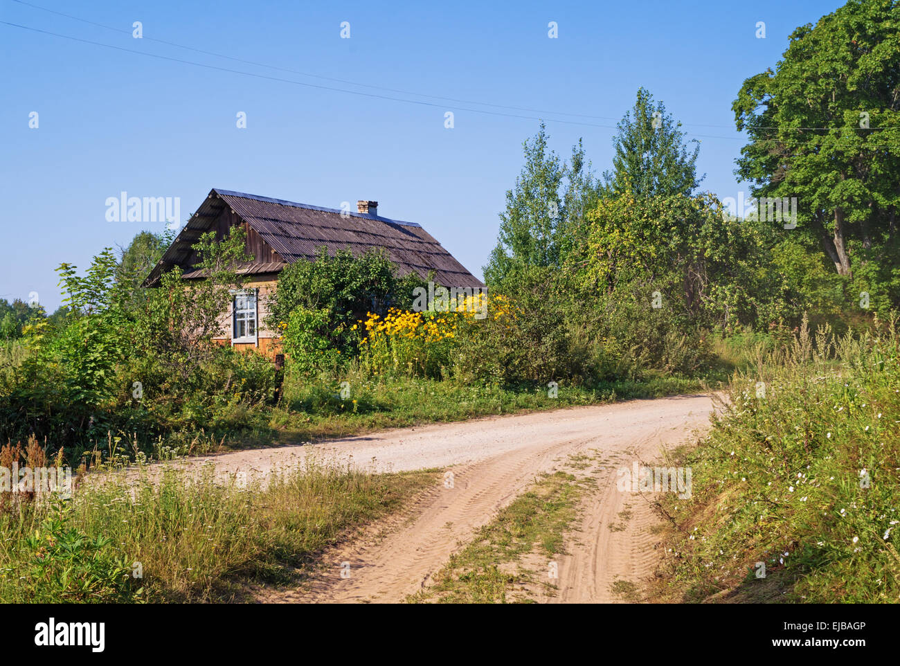 Rural landscape - village road with wooden house and yellow flowers ...