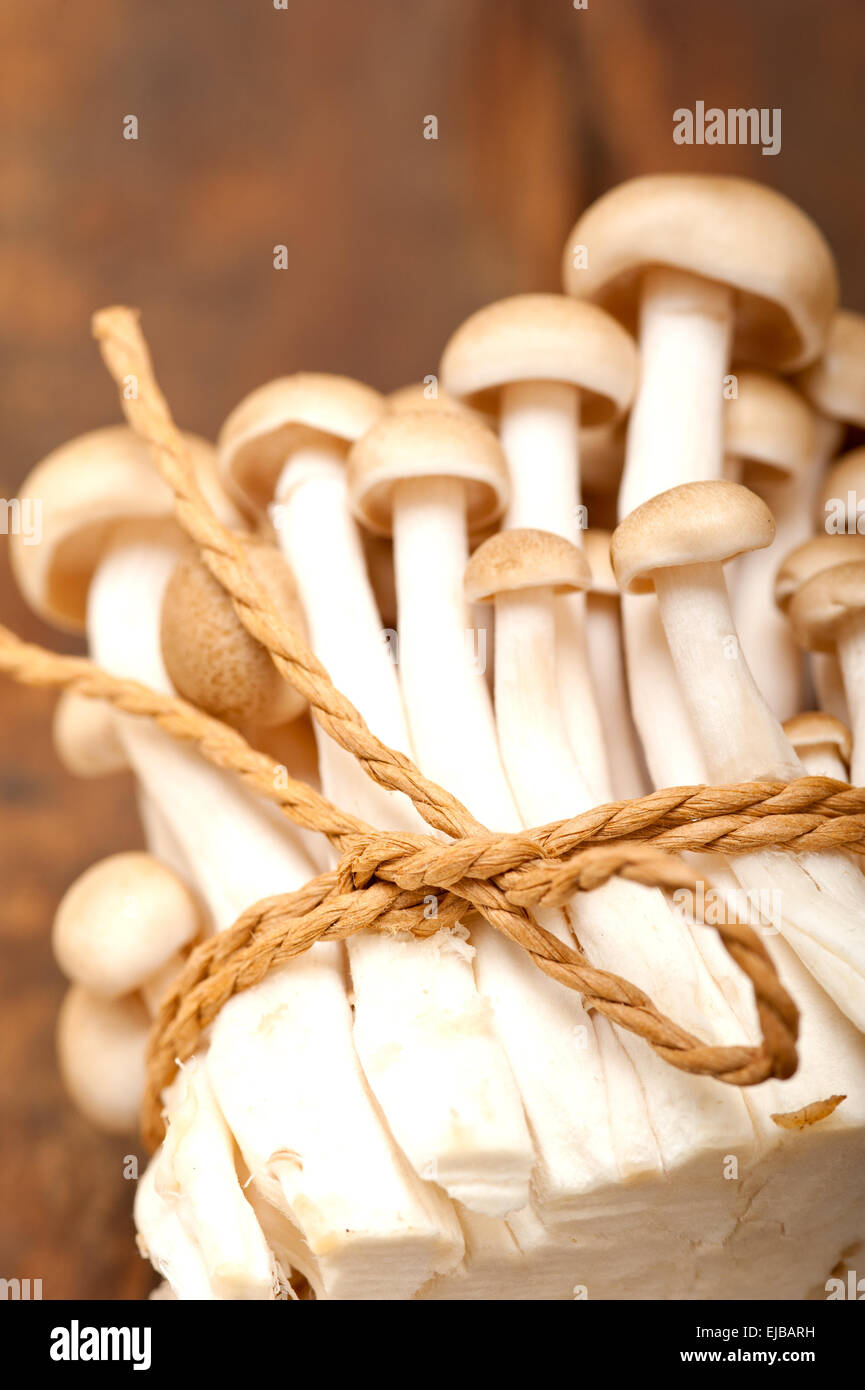 fresh wild mushrooms Stock Photo - Alamy