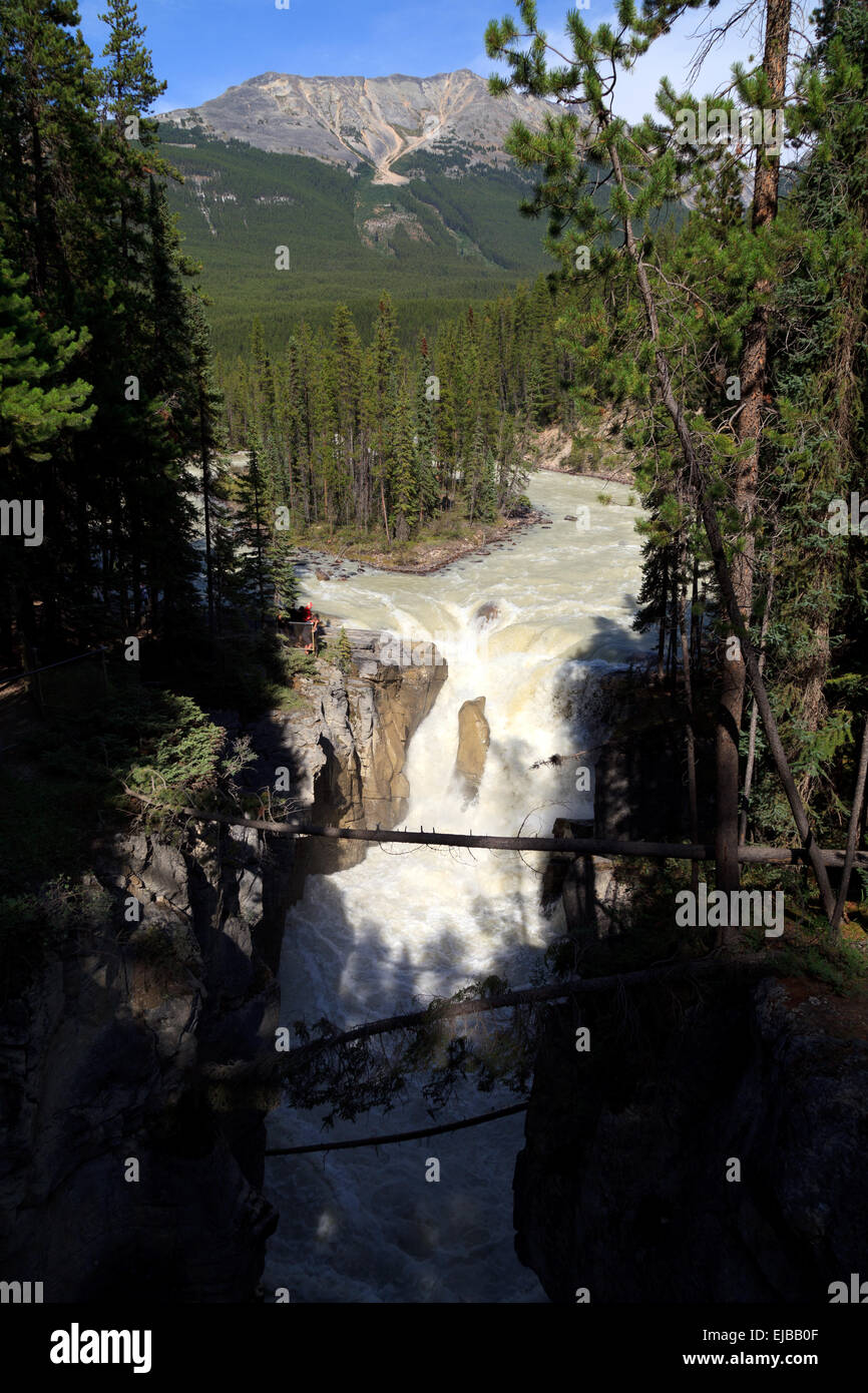 Sunwapta wasserfall hi-res stock photography and images - Alamy