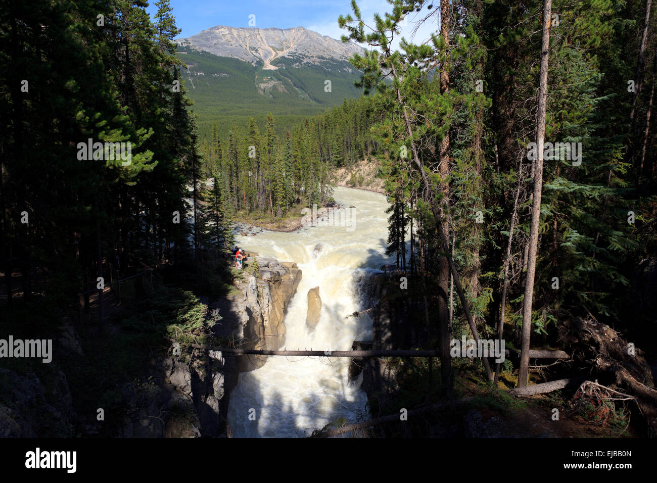 Sunwapta wasserfall hi-res stock photography and images - Alamy