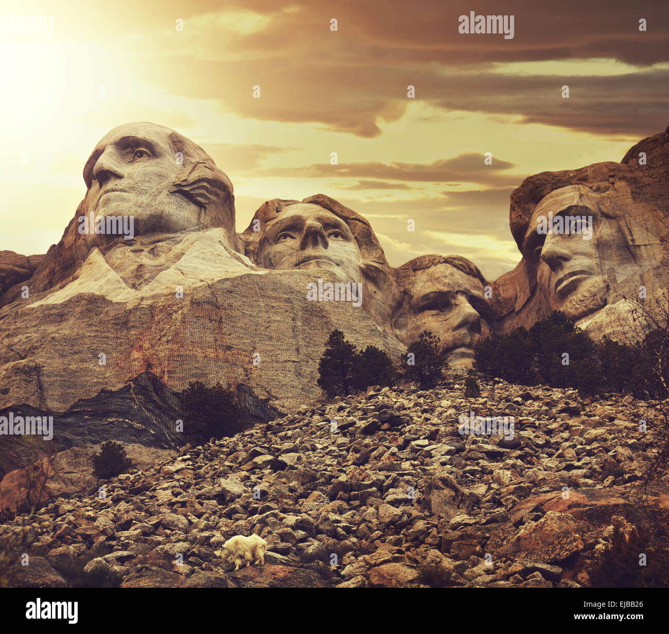 Rushmoor hi-res stock photography and images - Alamy