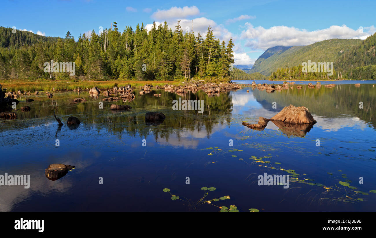Canadian river landscape Stock Photo - Alamy