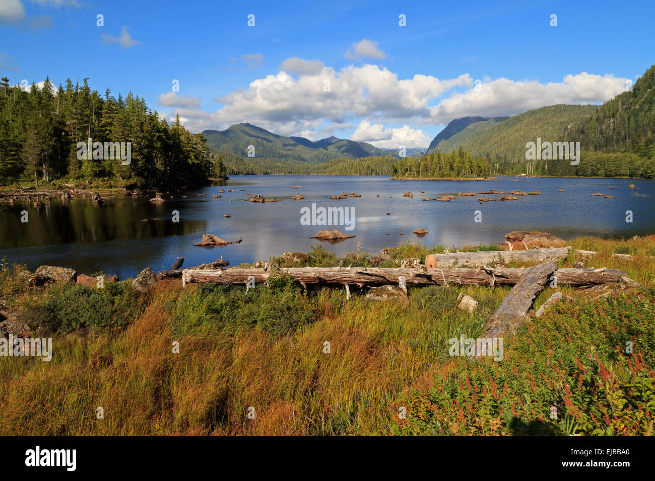 Canadian river landscape Stock Photo - Alamy