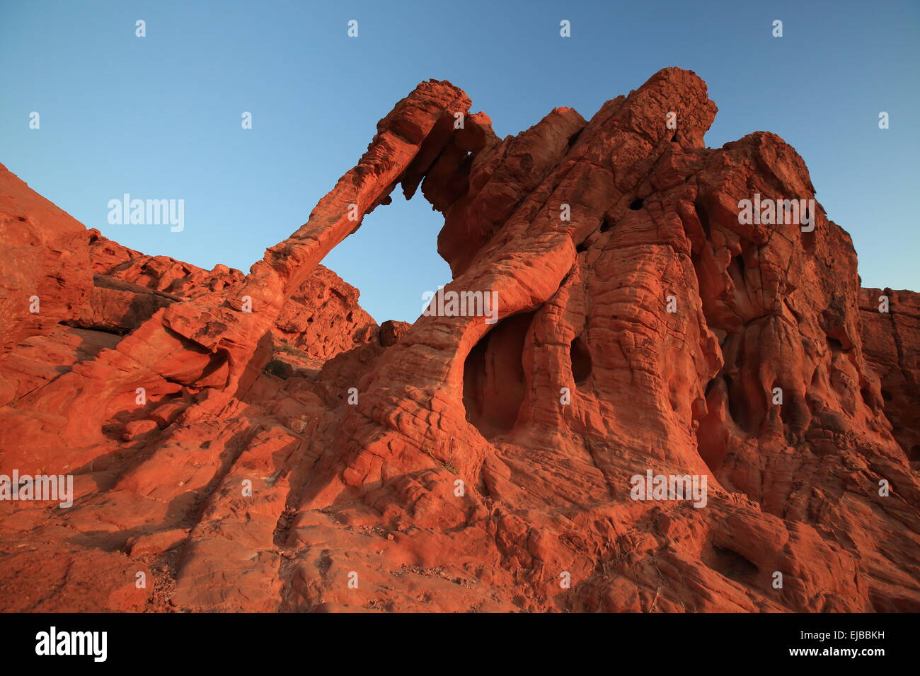 Elephant Rock Valley of Fire Nevada Stock Photo - Alamy