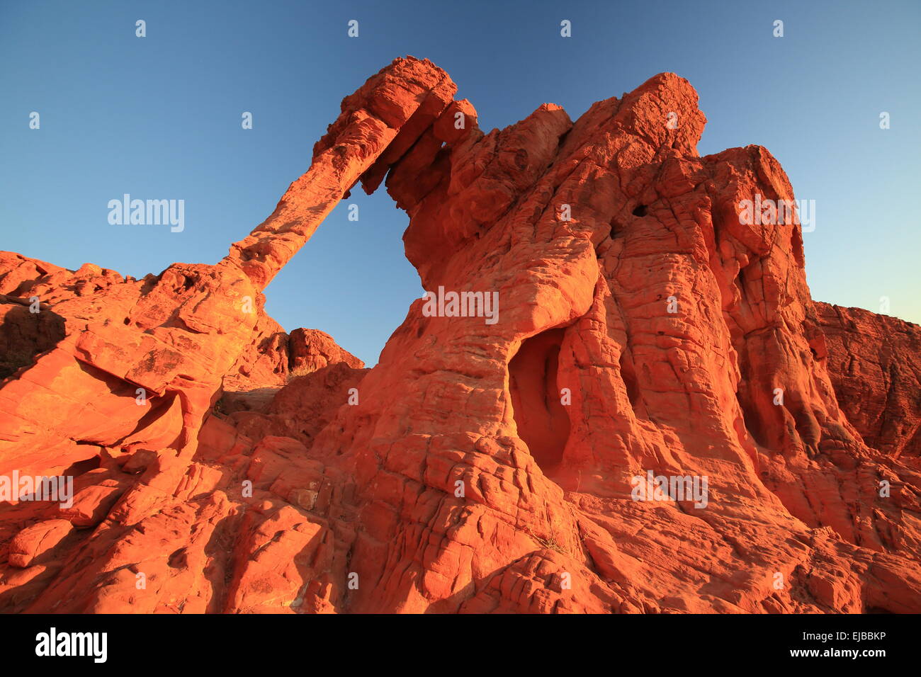 Elephant Rock Valley of Fire Nevada Stock Photo - Alamy
