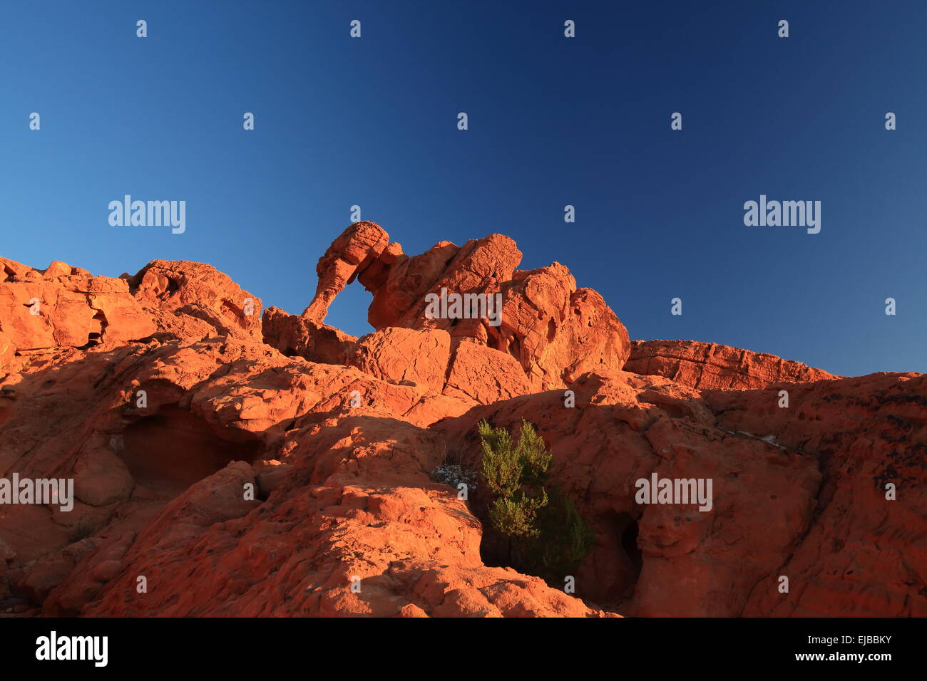 Elephant shaped rock hi-res stock photography and images - Alamy