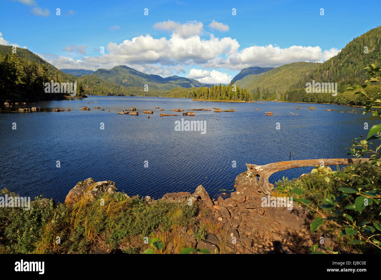 Canadian river landscape Stock Photo - Alamy