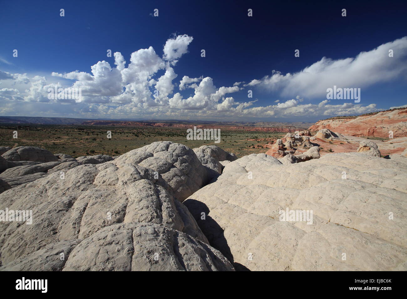 White Pocket Arizona Stock Photo - Alamy