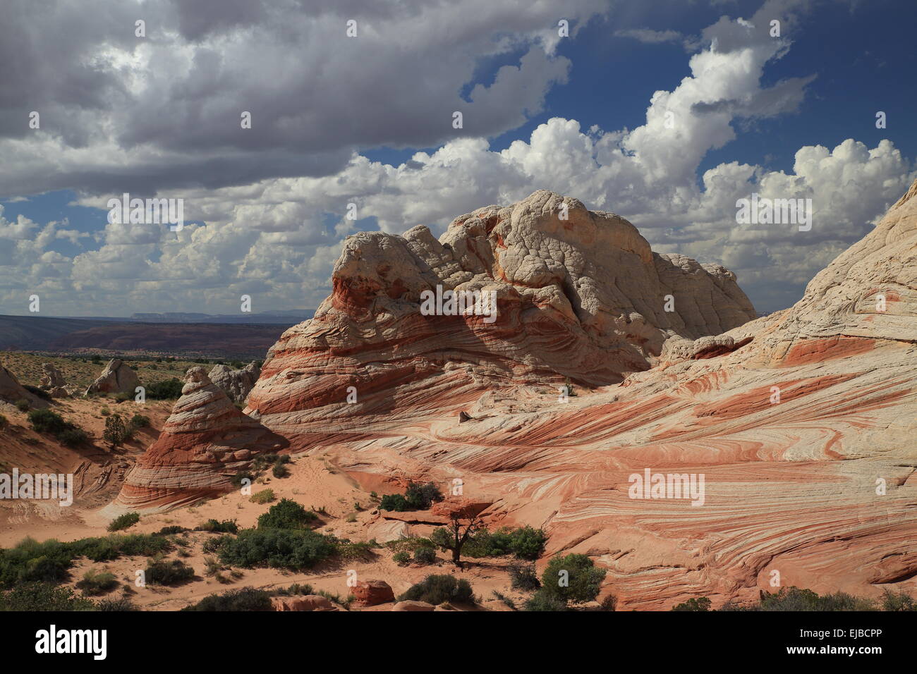 White Pocket Arizona Stock Photo - Alamy