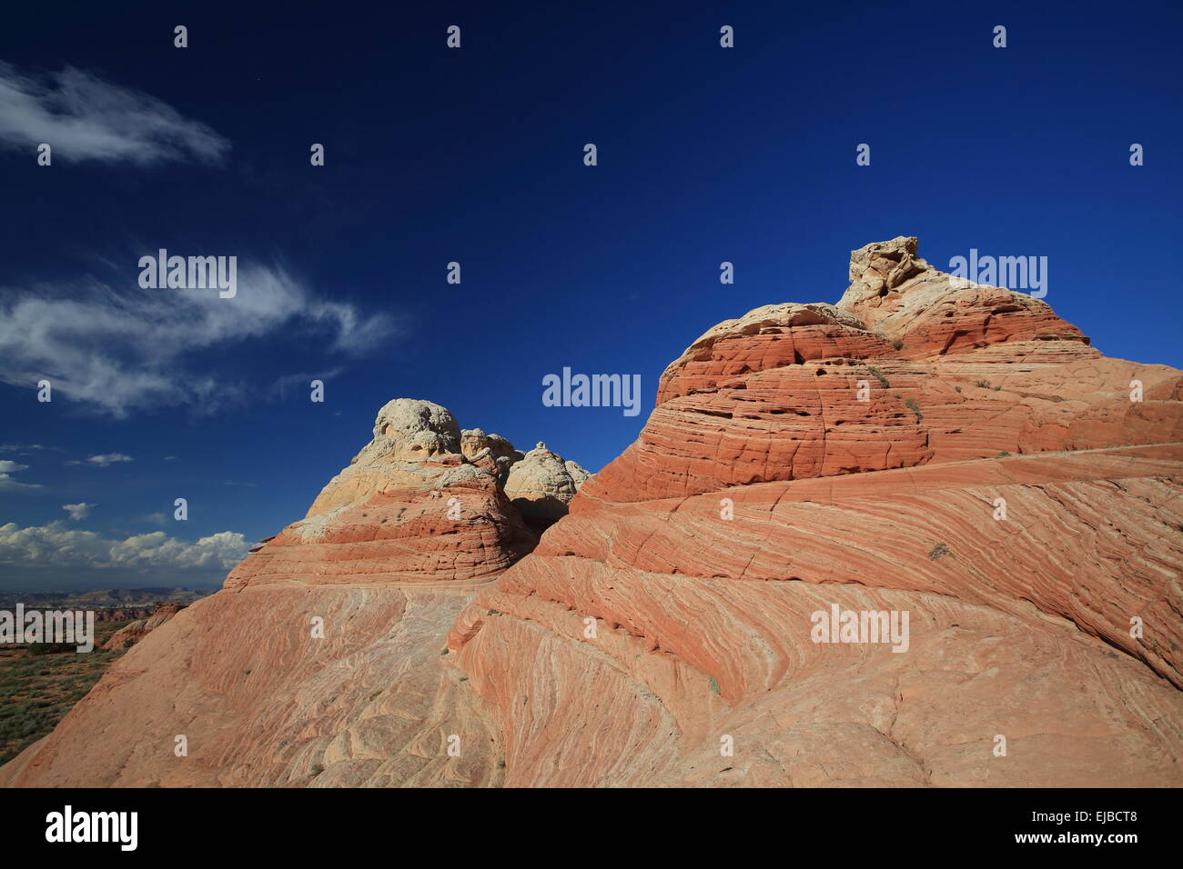 White pocket arizona hi-res stock photography and images - Alamy