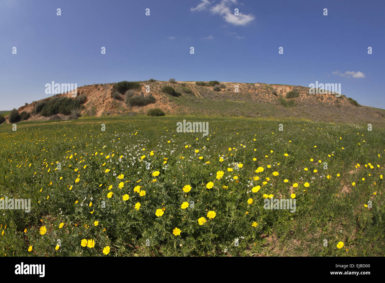 Hilly landscape. Spring at Mediterranean sea Stock Photo - Alamy