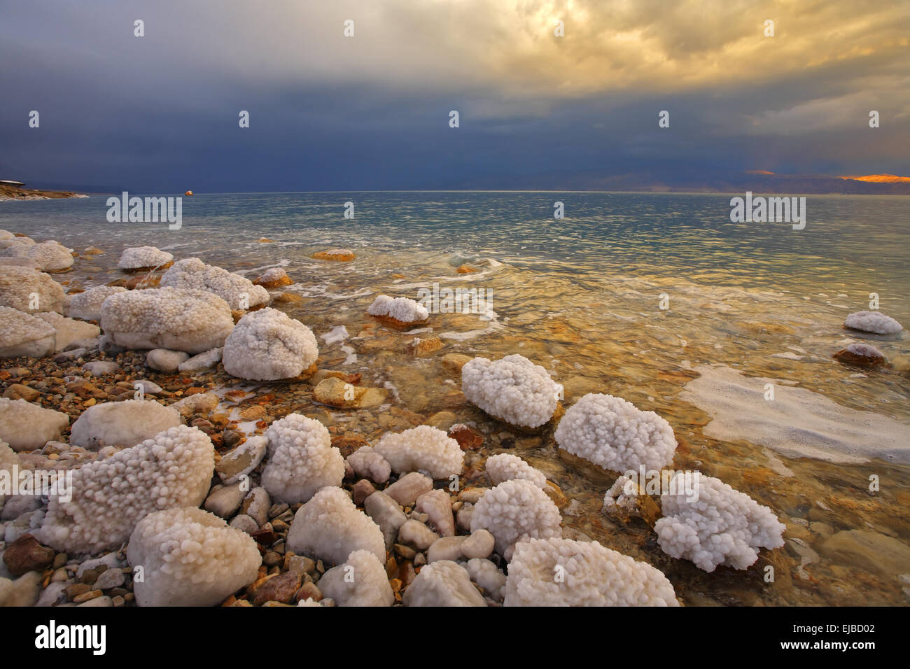 Coastal stones are covered by salt Stock Photo - Alamy